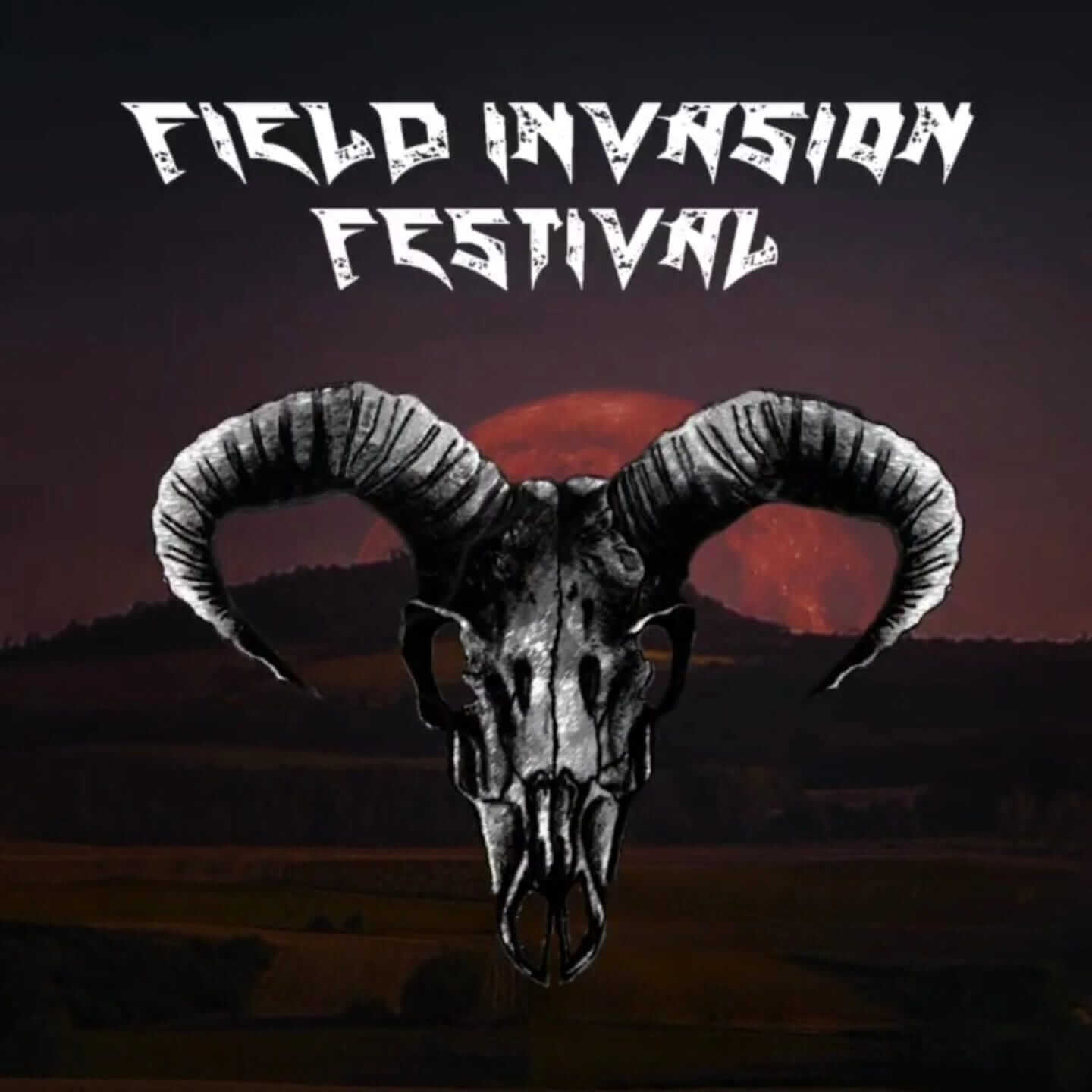 1. Dezember neue Infos - Field Invasion Festival
